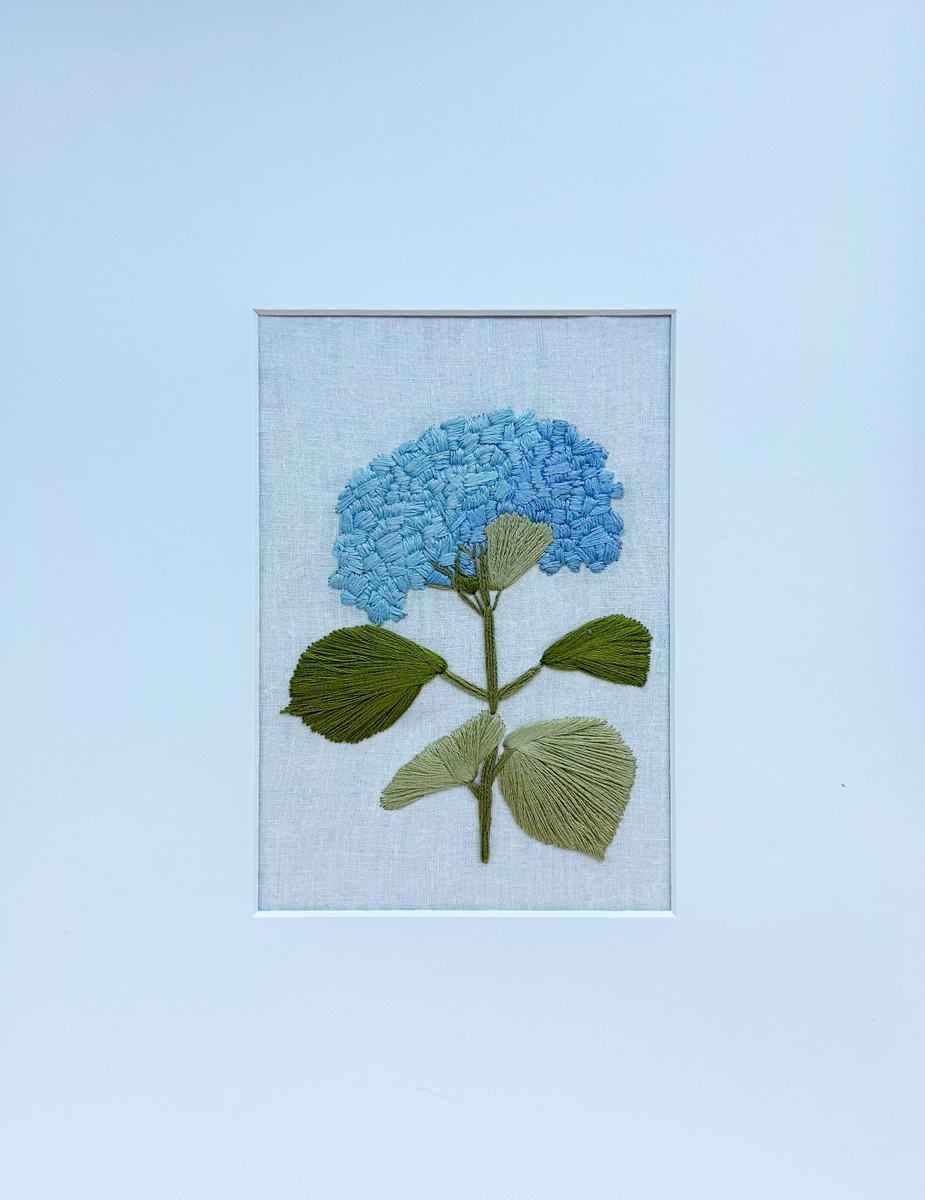 Hydrangea – The Floral Thread Shop