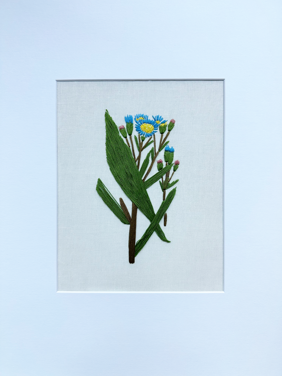 Gromwell flower – The Floral Thread Shop